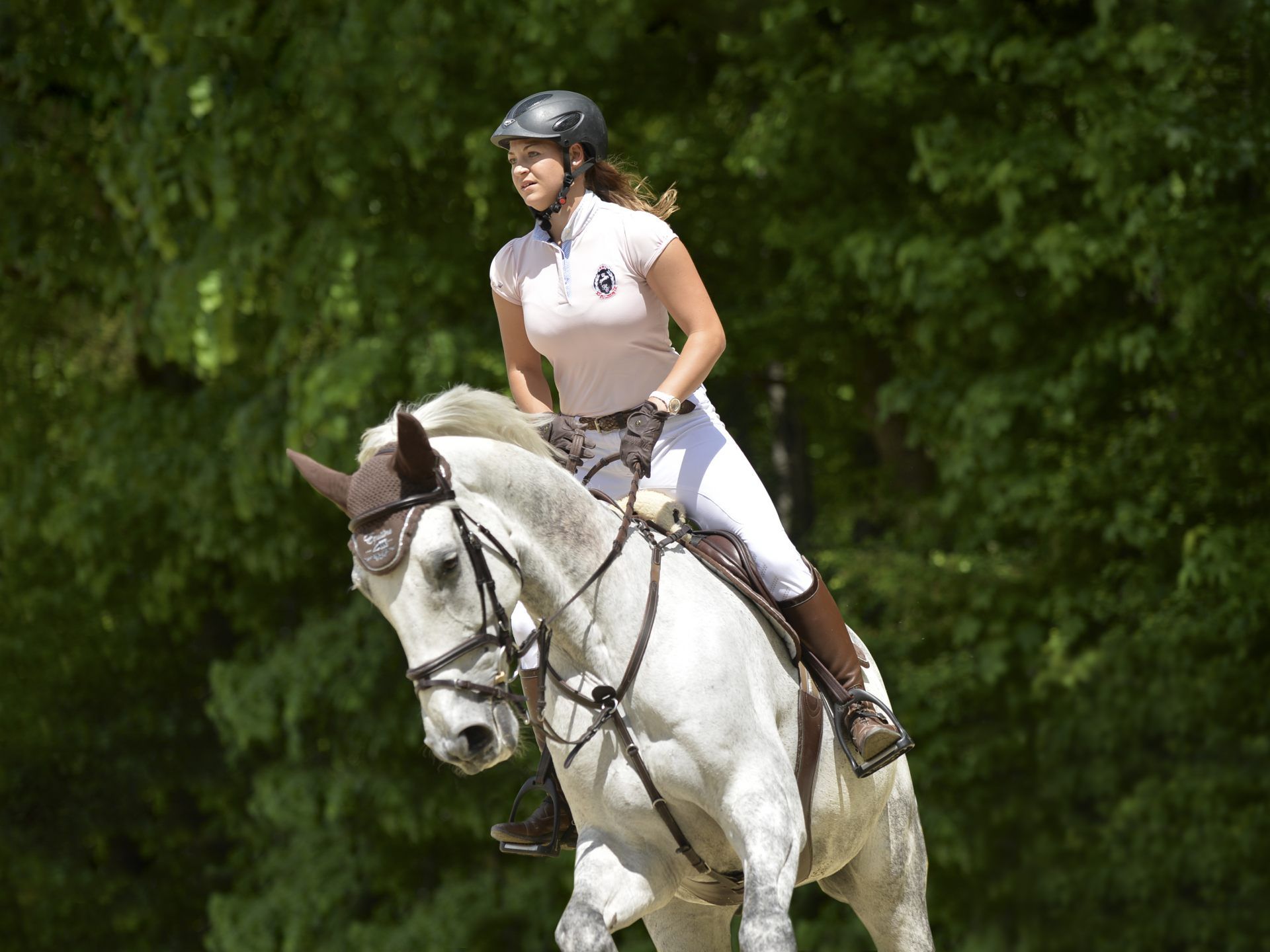 Springturnier der Campagnereiter Vereinigung - Dornbirn | VOL.AT