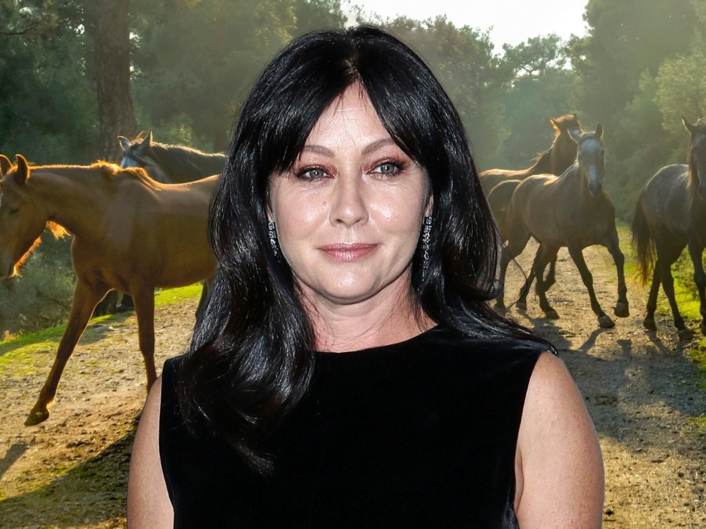 Shannen Doherty's Legacy: Love, Life, and Letting Go