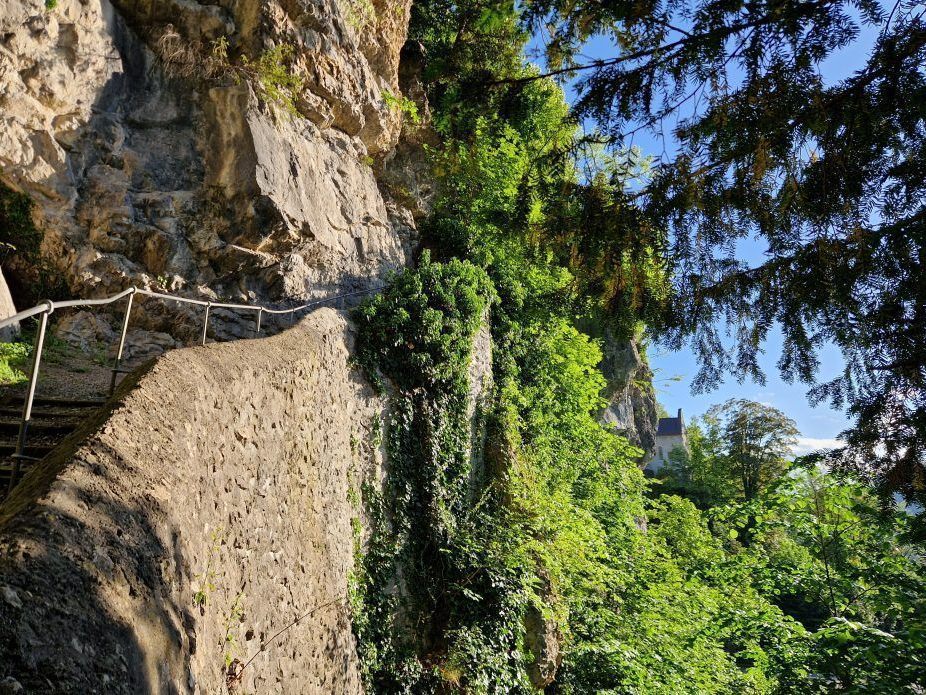 Wandertipp: Kapfschlucht und Wildpark Feldkirch - VOL.AT